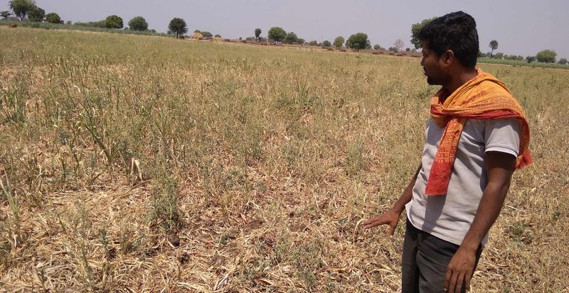 More Than a Year After Crop Failure, Maharashtra Farmers Still Wait for ...